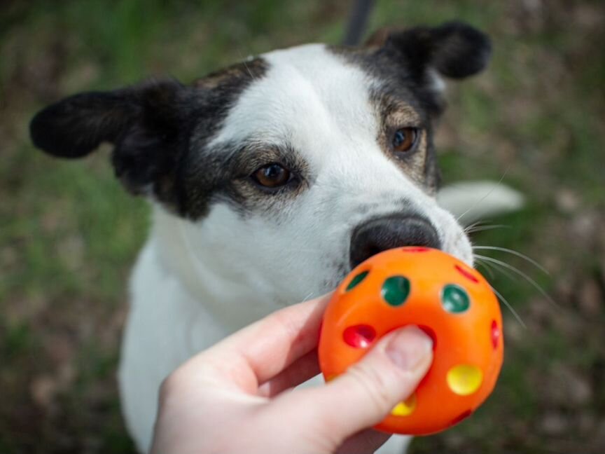 Милочка хочет домой