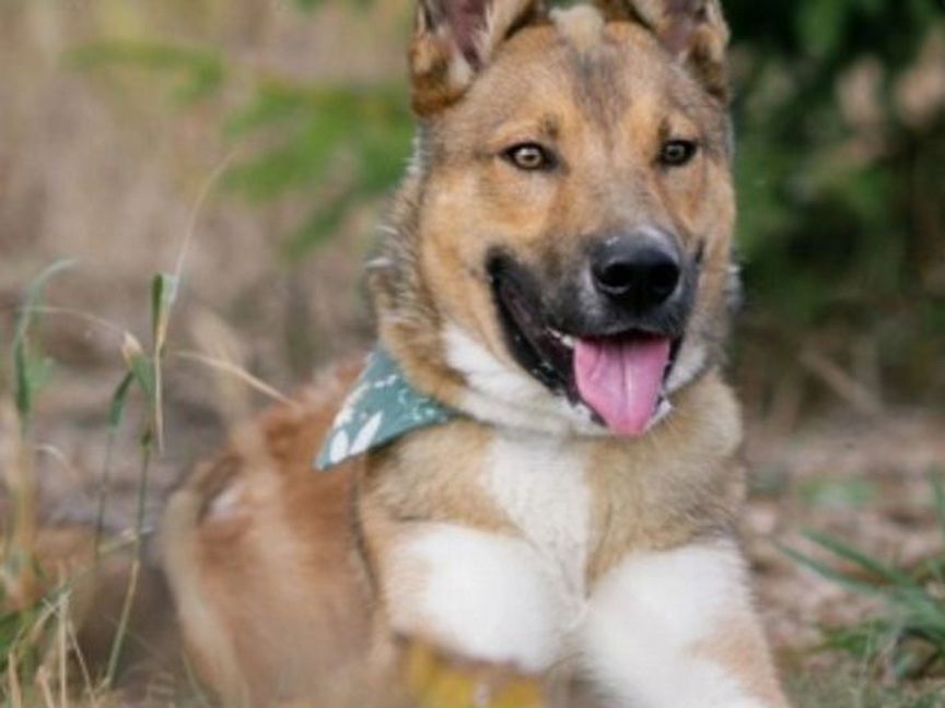 Классный парень