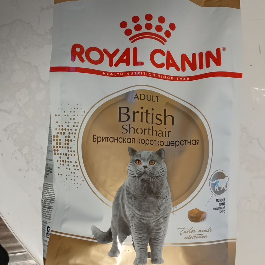 Корм для британских кошек royal canin
