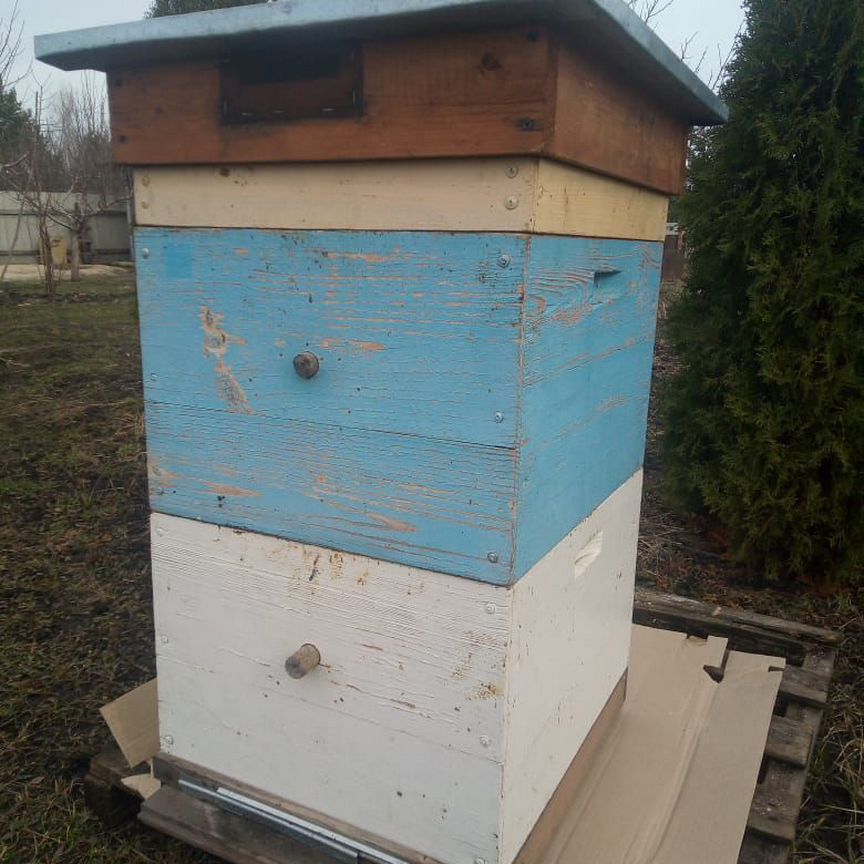 Продам ульи для пчел