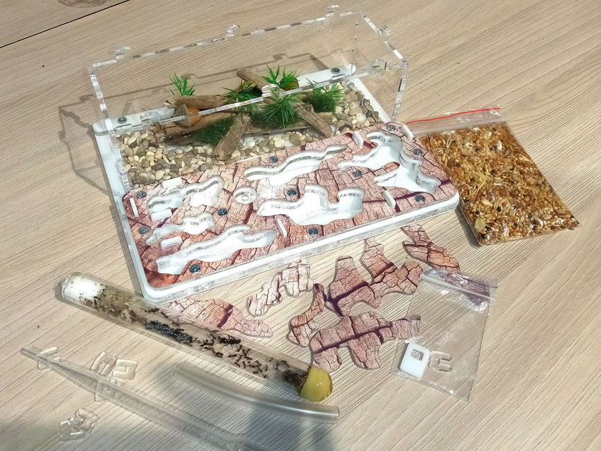 Муравьиная ферма с муравьями. Полный комплект