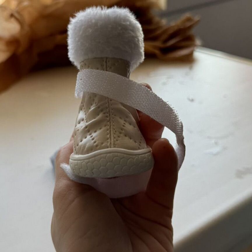 Ботинки для собак