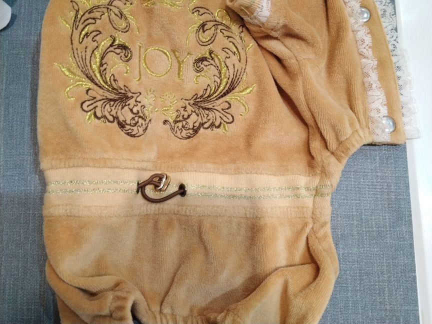 Домашние животные собаки маленькие