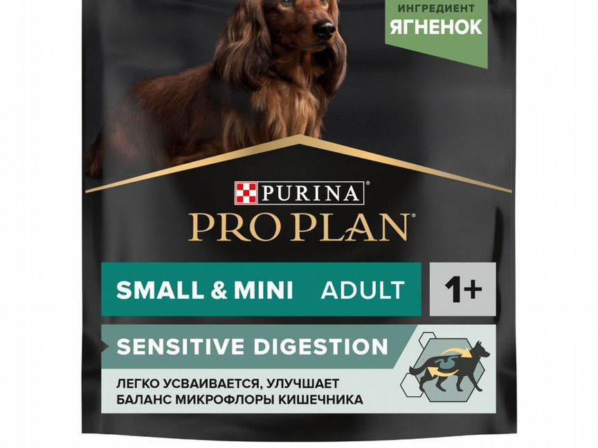 Корм для собак