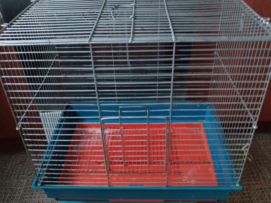 Клетка для кроликов и хамяк