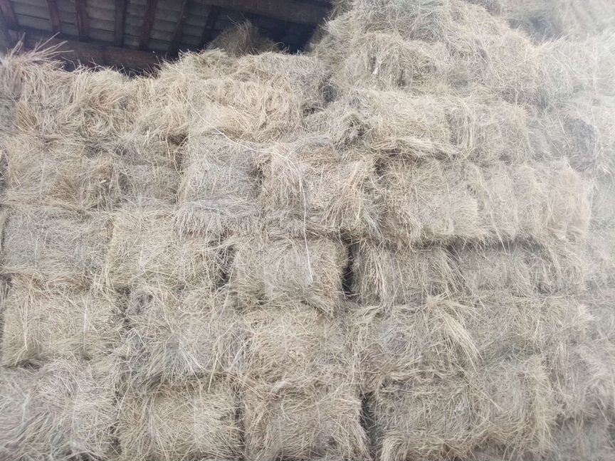 Сено в тюках