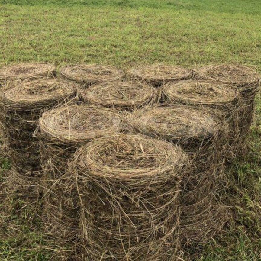 Продам сено в рулонах