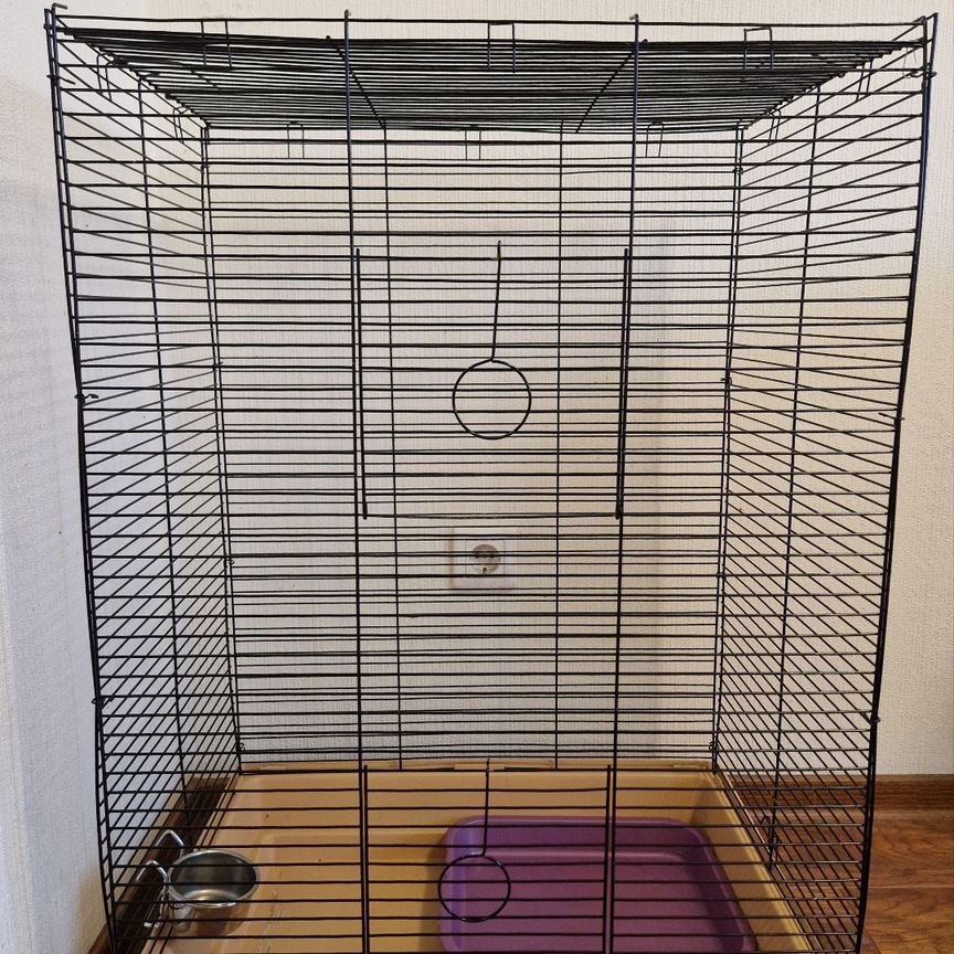 Клетка для грузынов