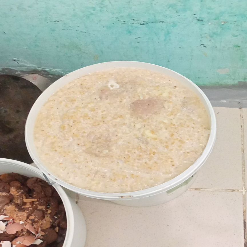 Кому нужны пищевые отходы для поросят