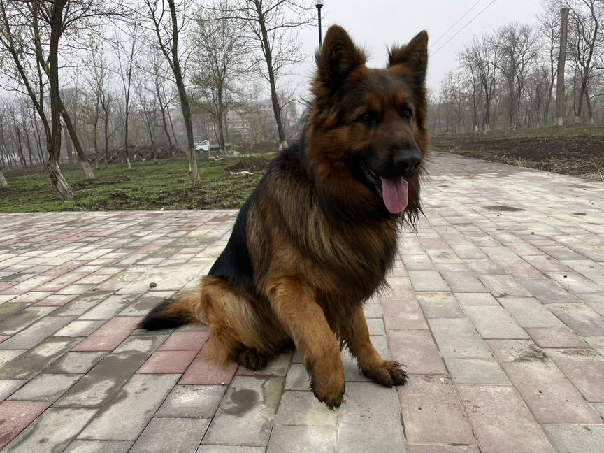 Вязка кабель