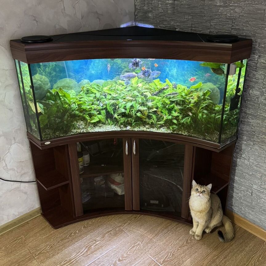 Аквариум с тумбой