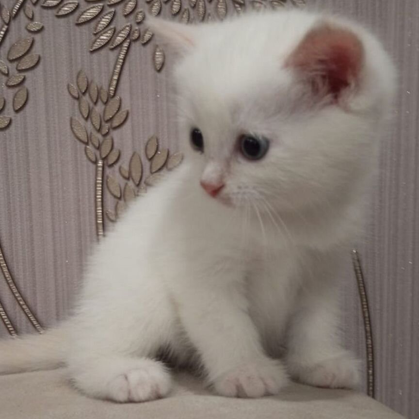 Очаровательный малыш