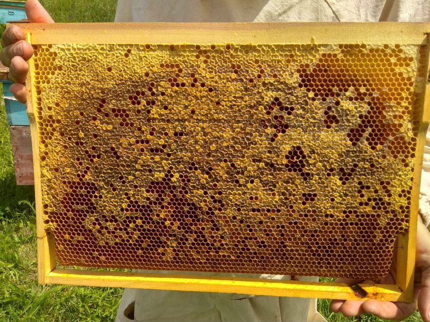 Медовую рамку