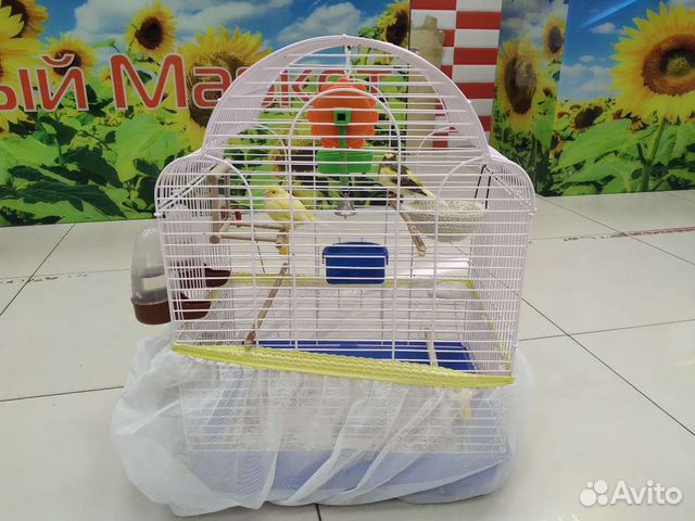 Пара канарейка месте клетка