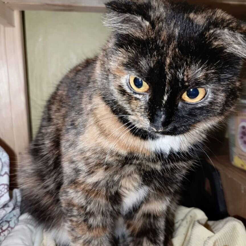 В добрейщие ручки