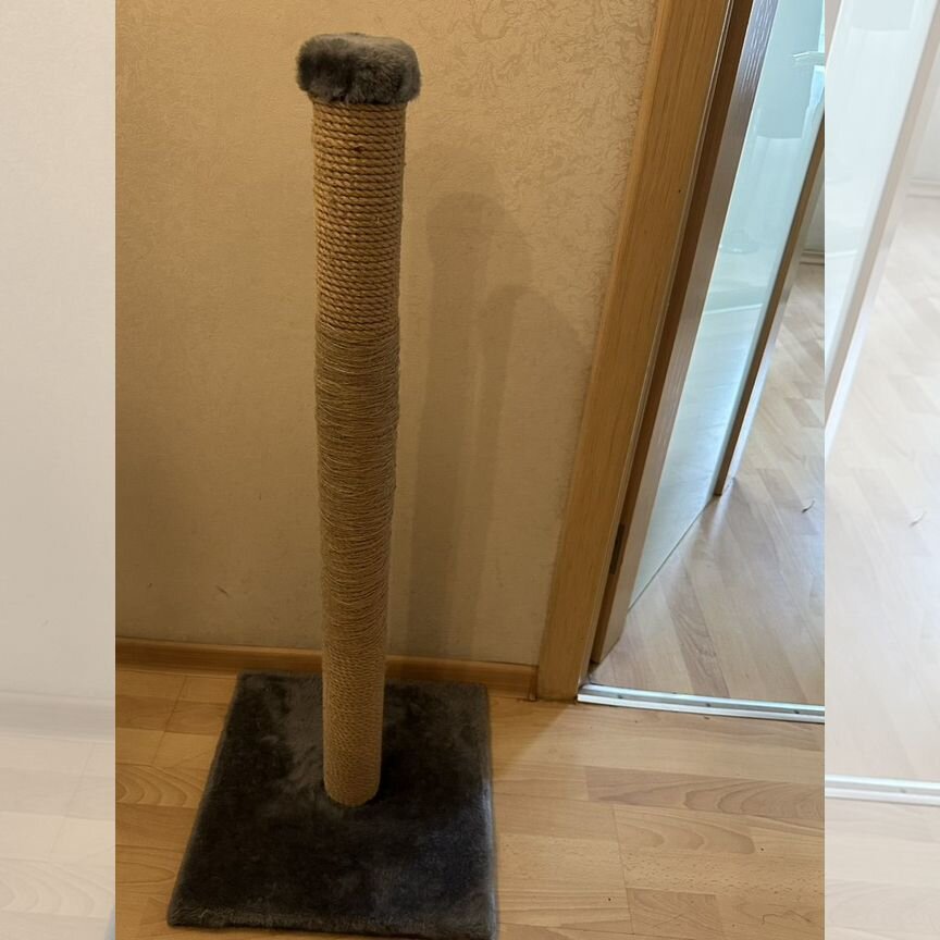 Когтеточка для кошек