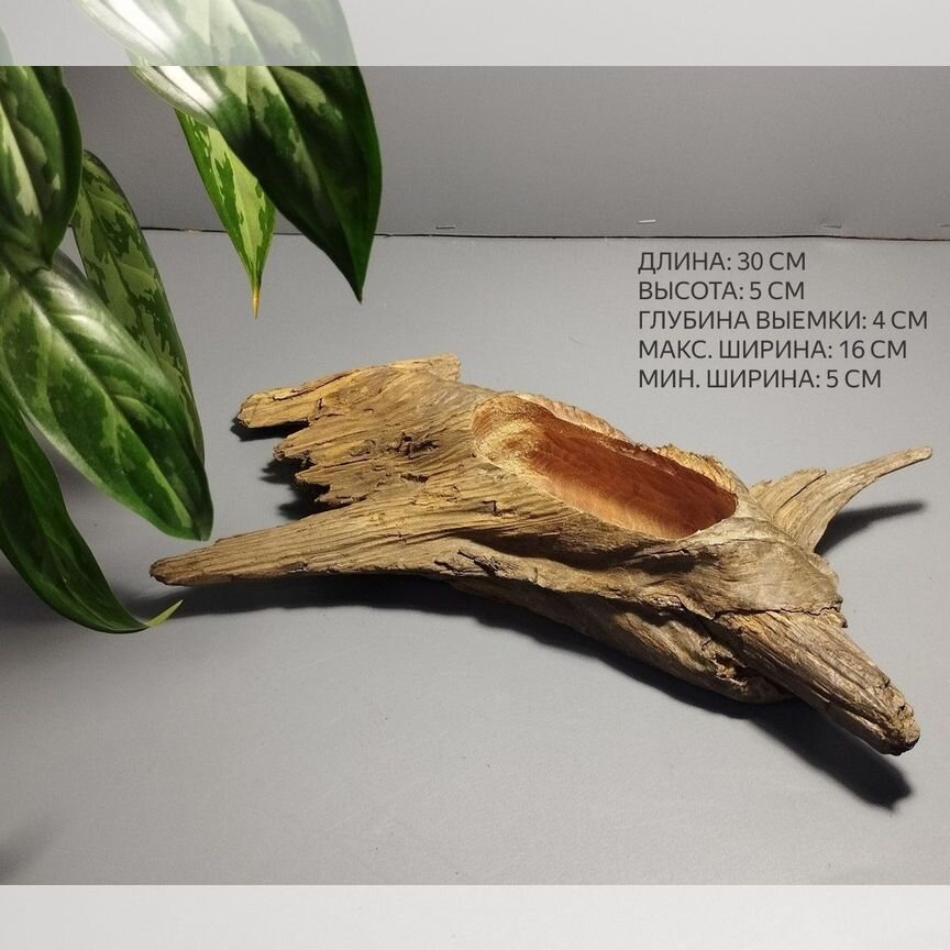 Коряга натурал. с отверстием для посадки растений