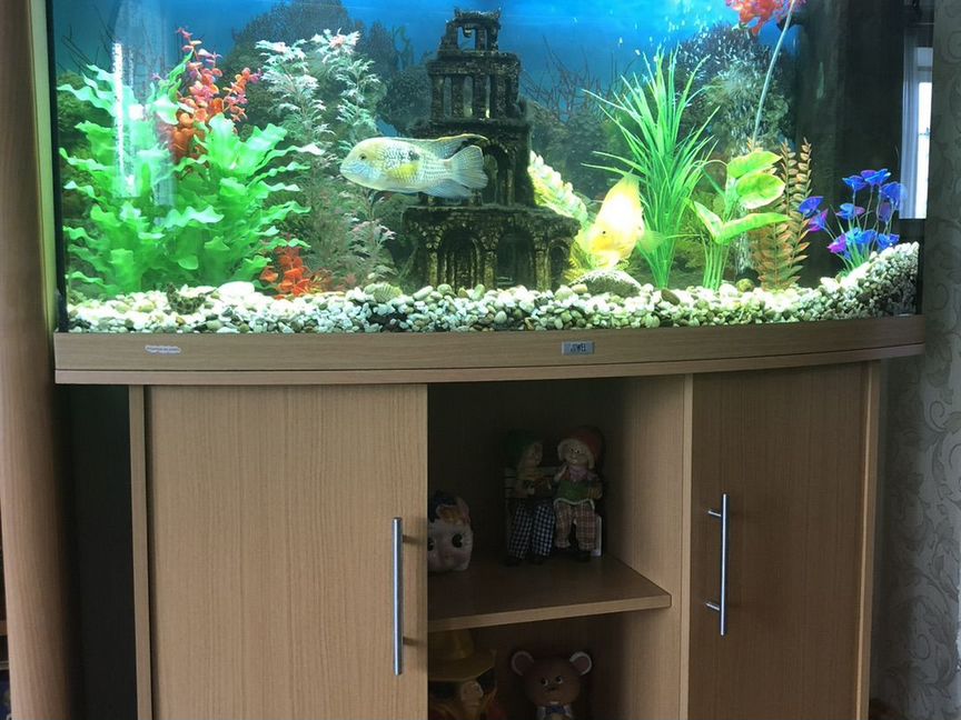 Аквариум с тумбой juwel