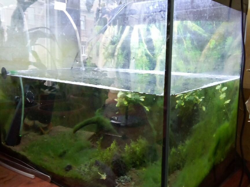 Аквариум. Комплект