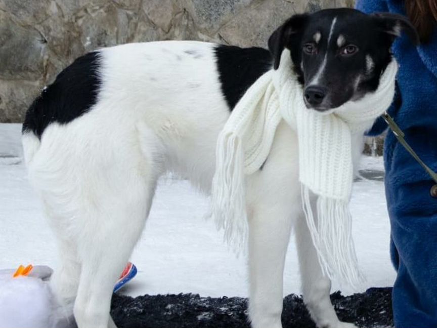 Малыш, 10 месяцев