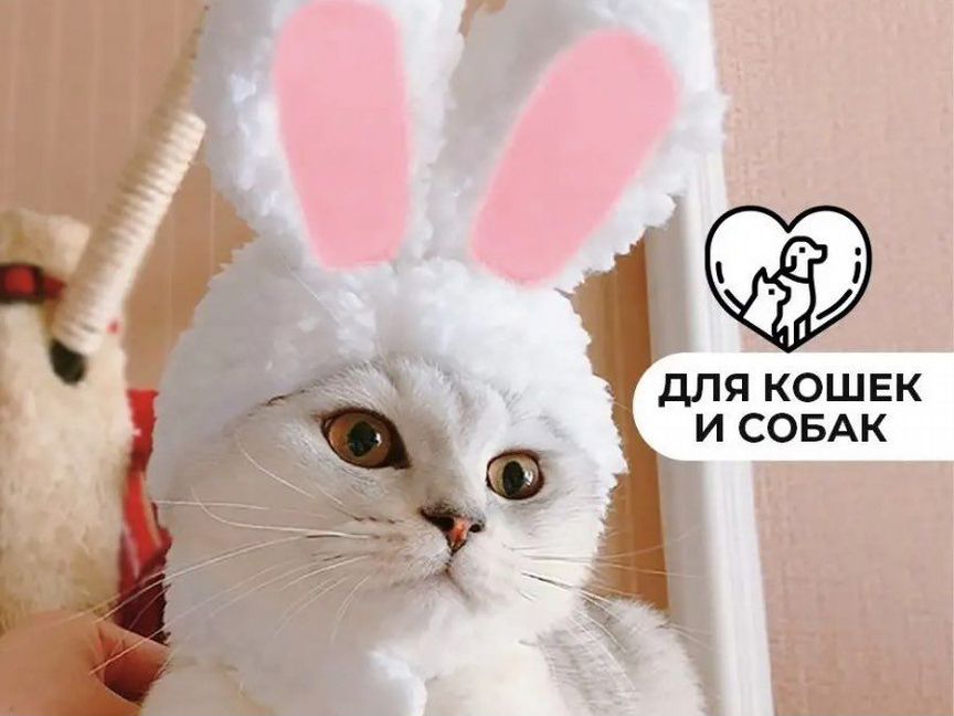 Шапка для кошек и собак «зайчик» новая