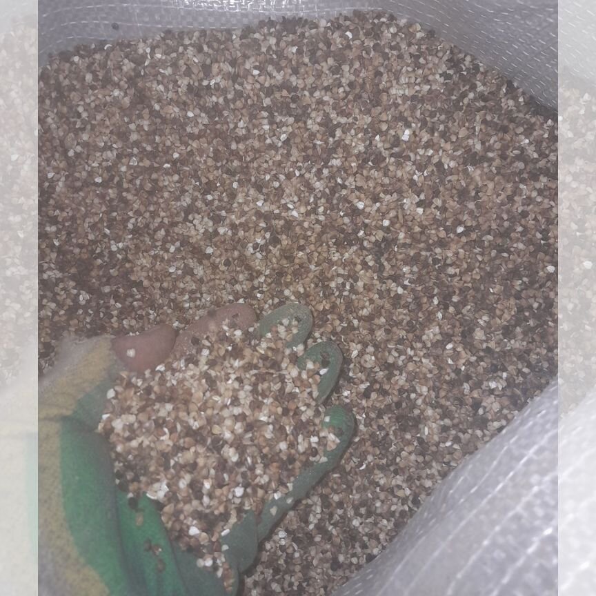 Корм Гречневая