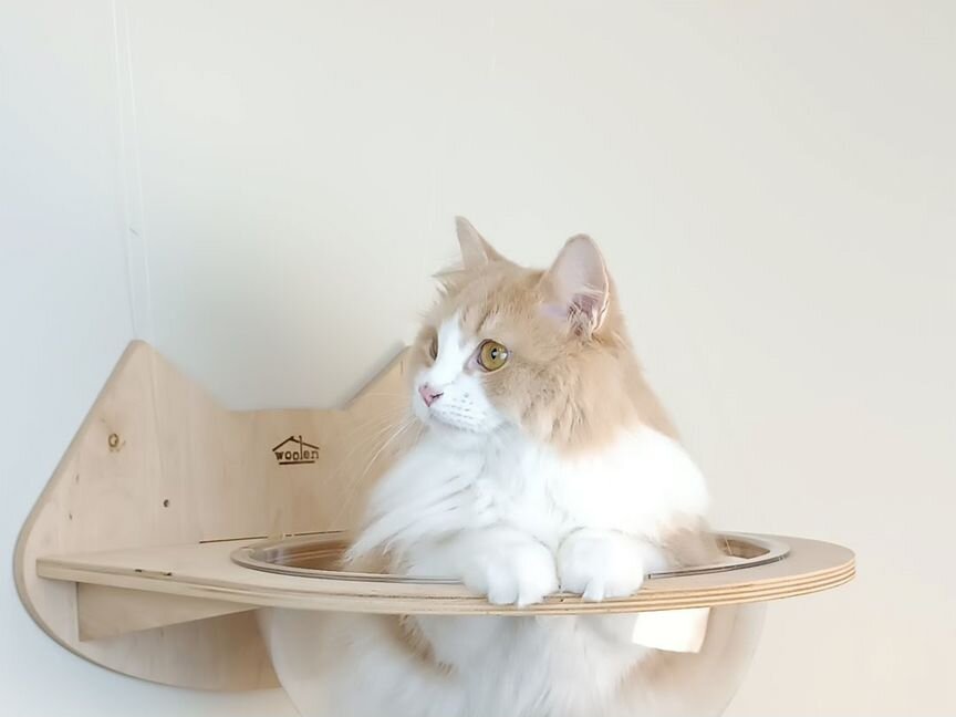 Лежанка гамак для кошек настенный