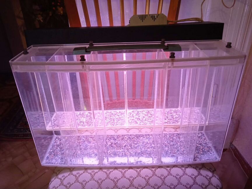 Ёмкость для перевозки и продажи аквариумных рыб