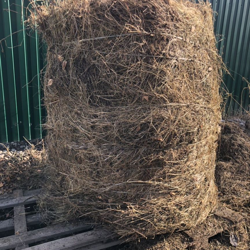 Сено в рулоне