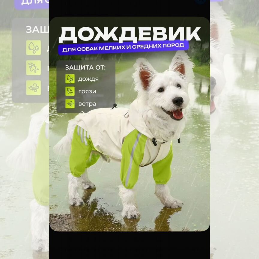Вещи для собаки