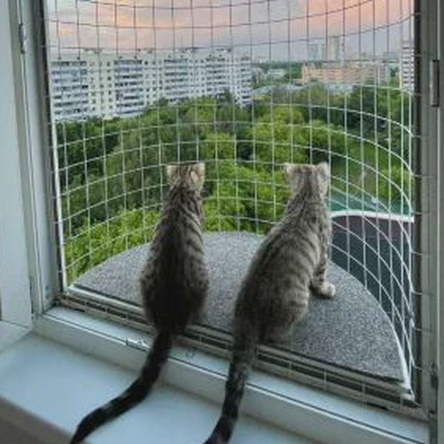 Котобалкон/кошачий балкон