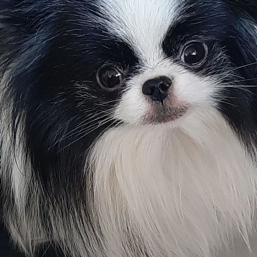 Малыш ищет дом