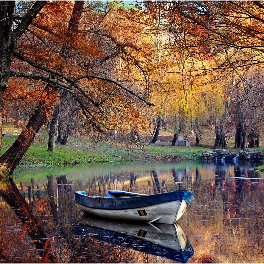 Найдена собака. Порода не определена