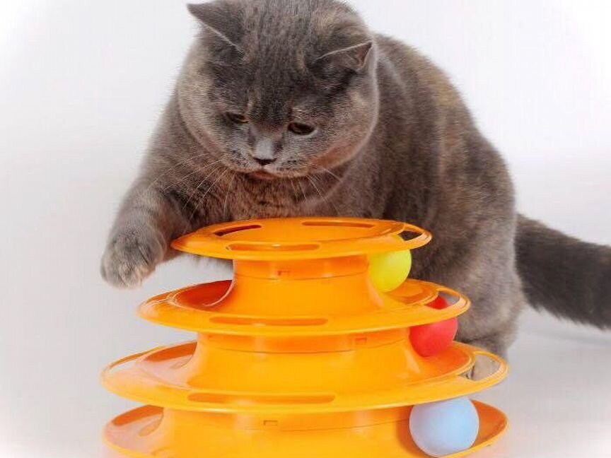 Игрушка пирамидка для кошек