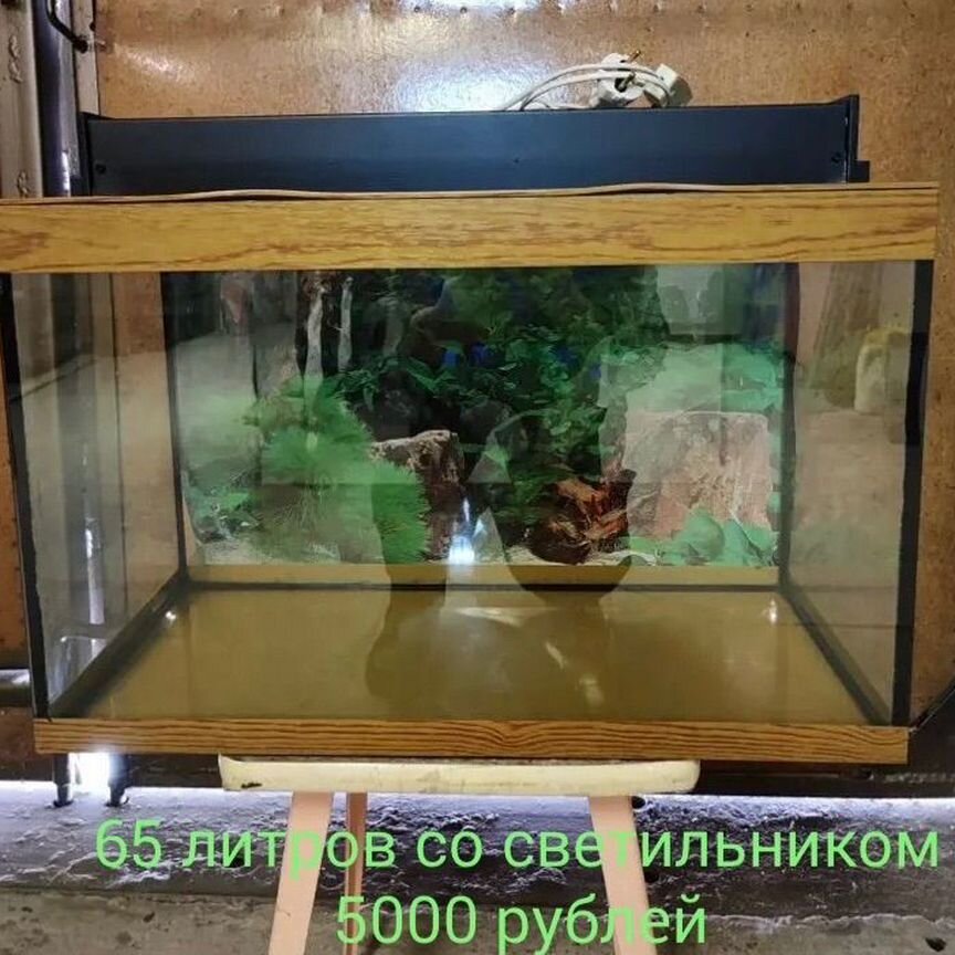 Аквариум