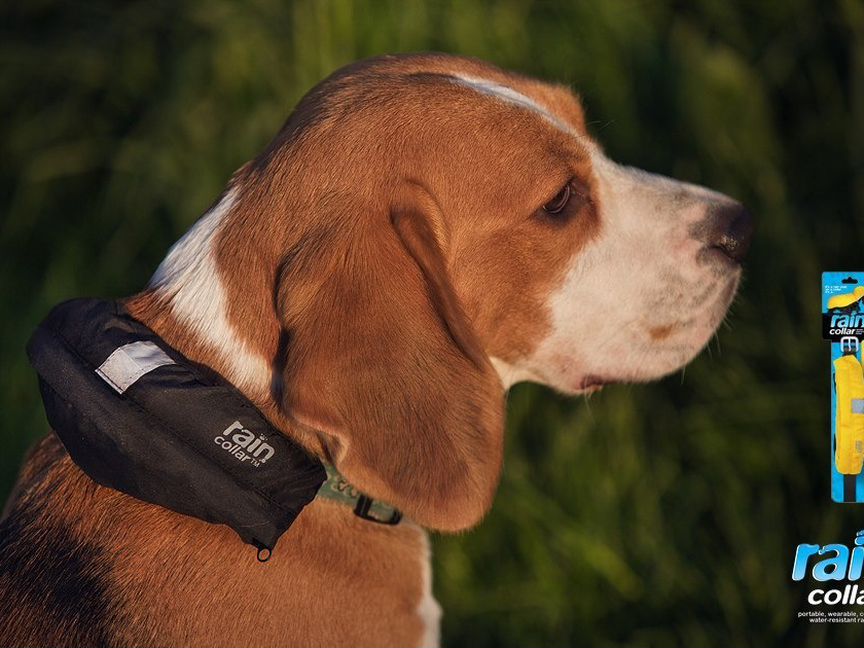 Плащи-накидки для собак