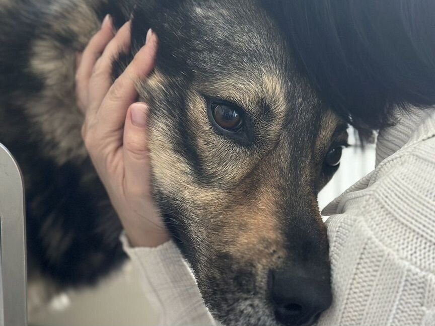 Самый лучший друг