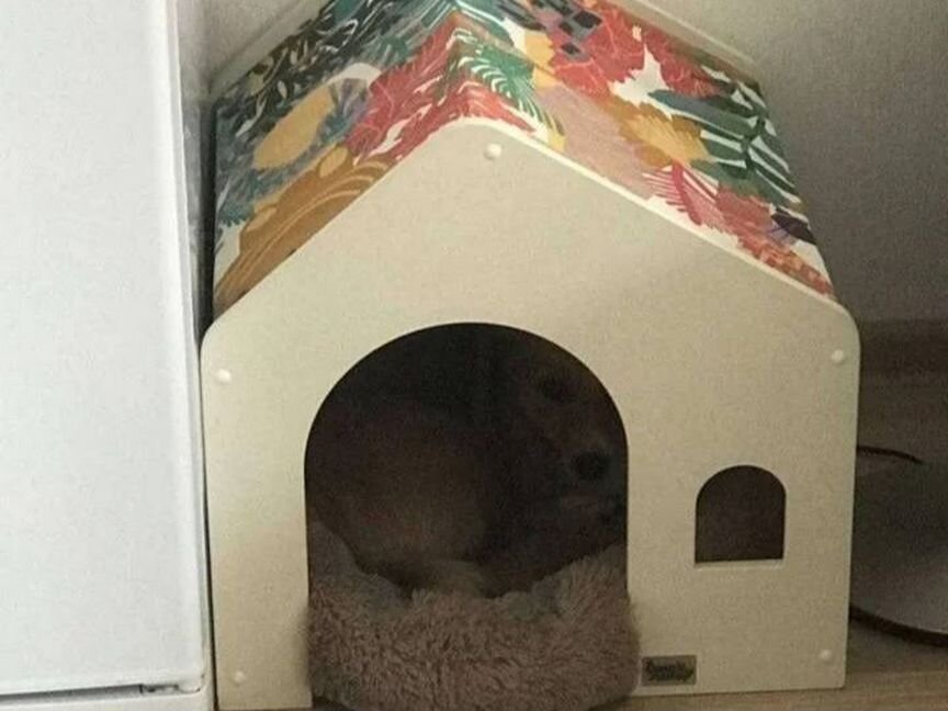 Домик для собаки