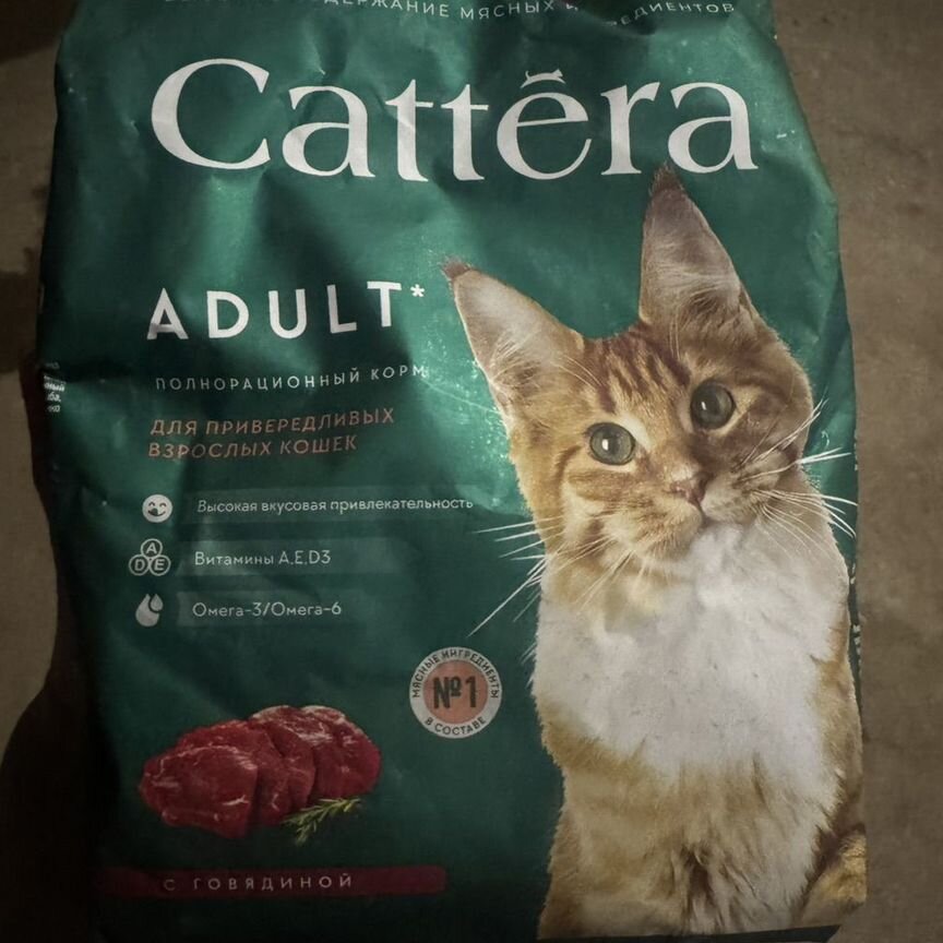 Корм для кошек