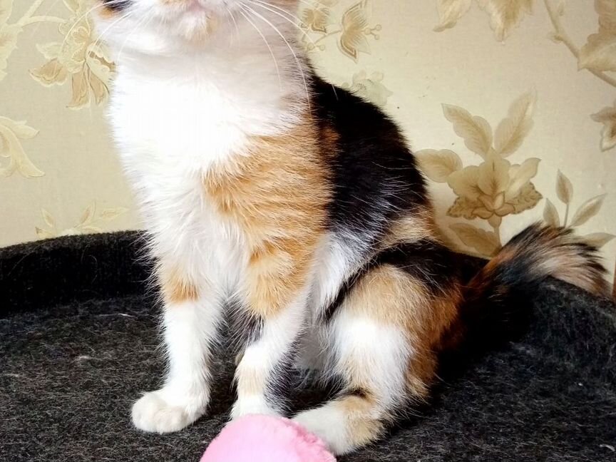 Уникальная и неповторимая