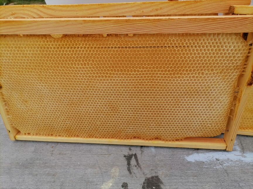 Рамки с сушью