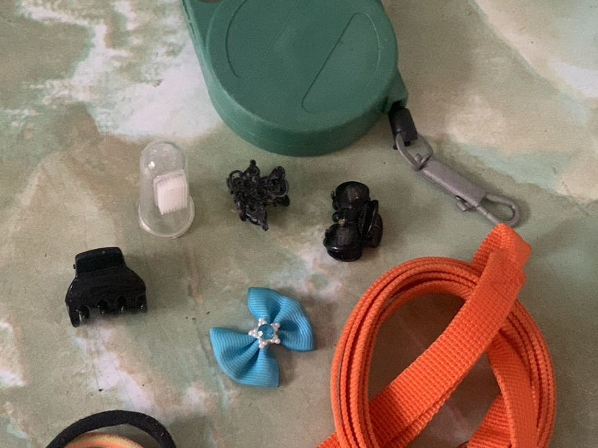 Собачьи принадлежности