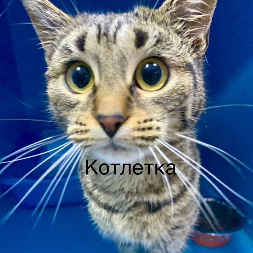 Этим малышам очень нужен дом и семья, помогите