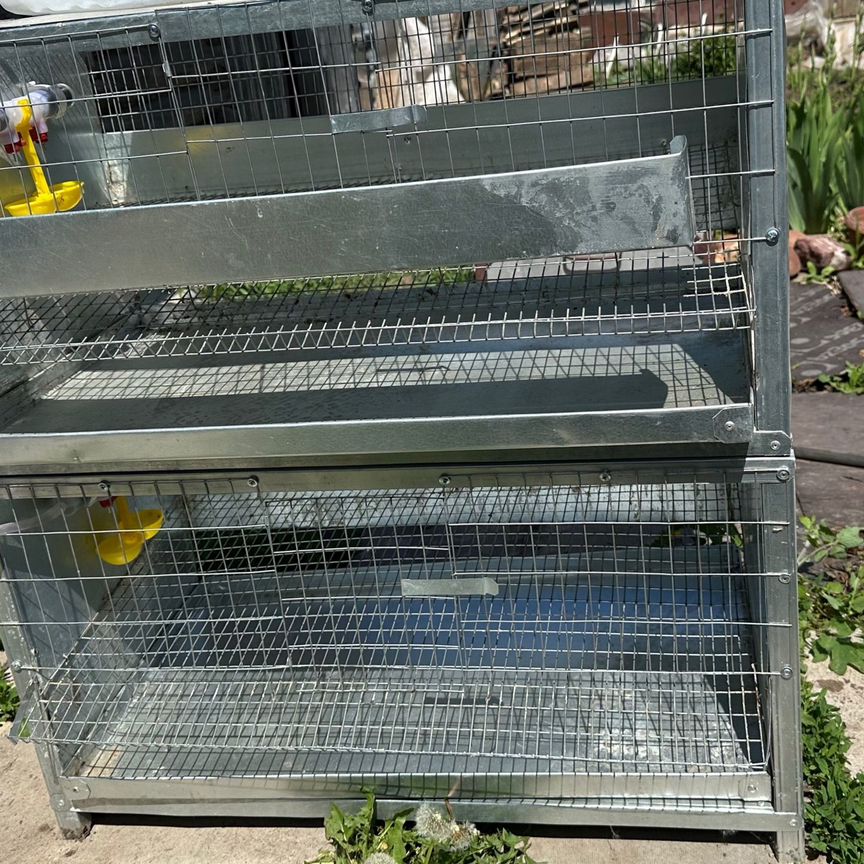 Клетка для перепелок