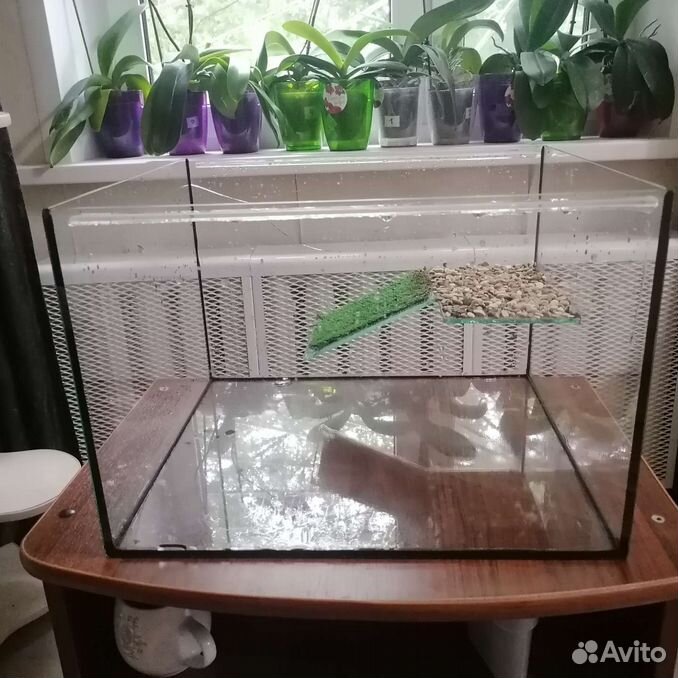 Акватеррариум для черепахи