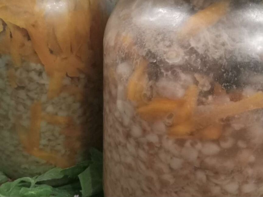 Каша гречневая с индейкой для собачек и кошечек