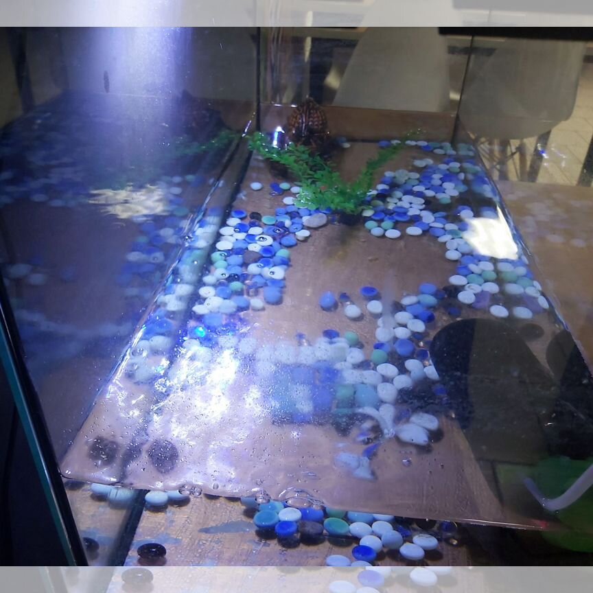 Аквариум(продаю