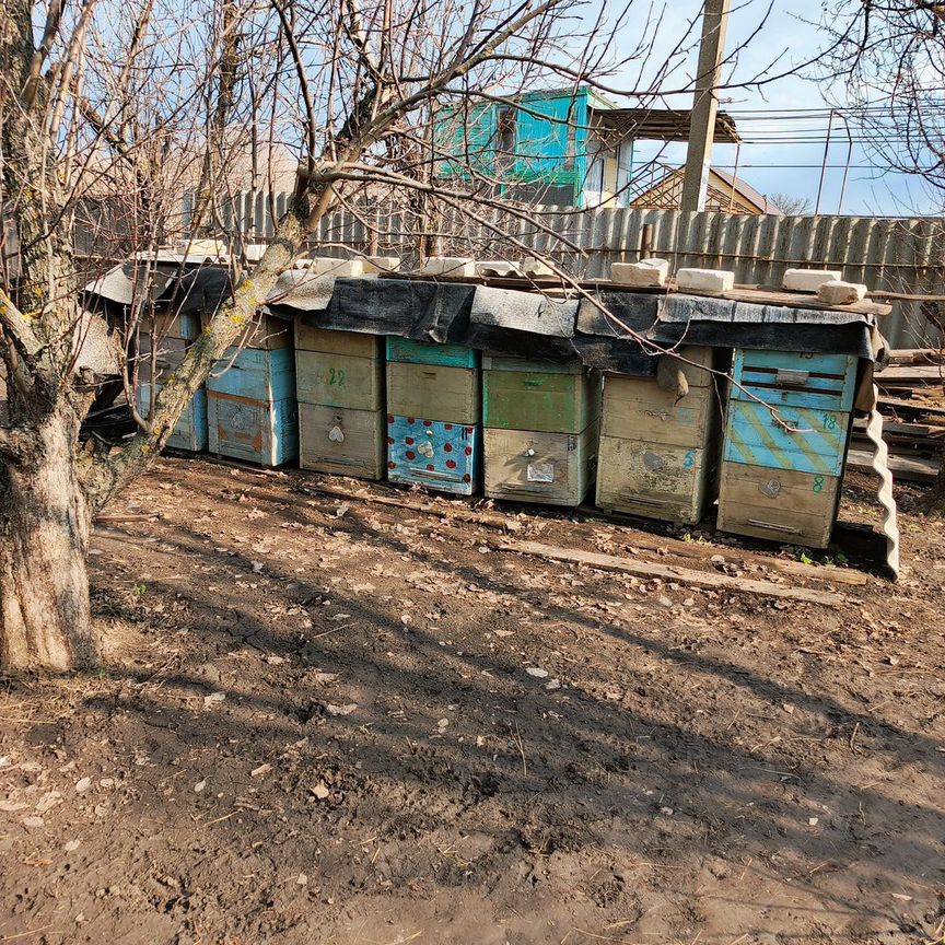 Улики для пчел