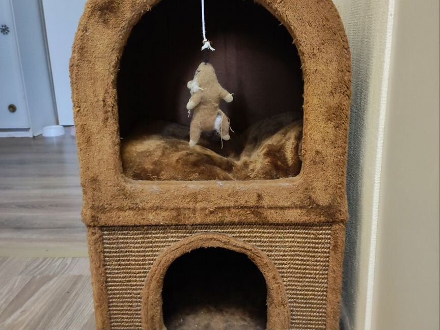 Домик для котов