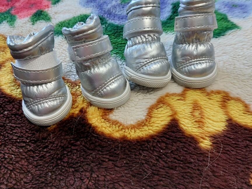 Сапожки для маленьких собачек
